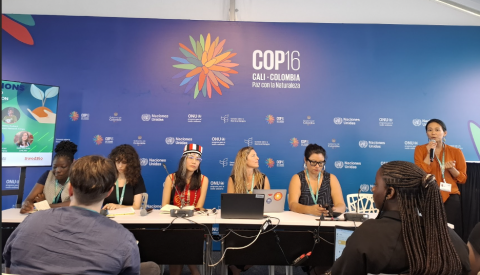 Advancing equitable ecosystem-based adaptation work: Reflections from COP16 | Climate ...
